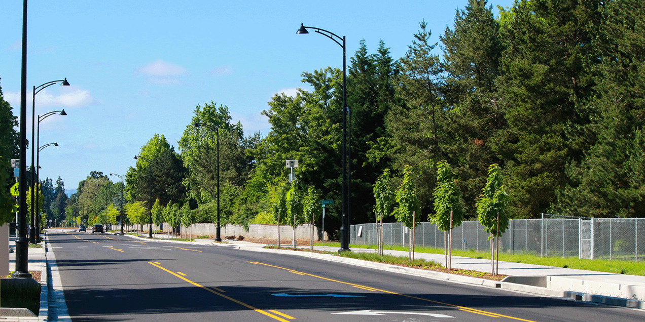 Street Trees | Washington County, OR