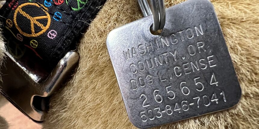 Animal Services | Washington County, OR