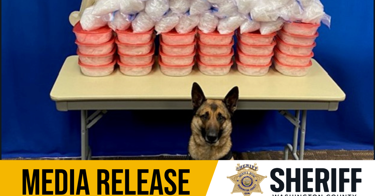 WIN Team Seizes Nearly 110 Pounds of Methamphetamine | Washington ...