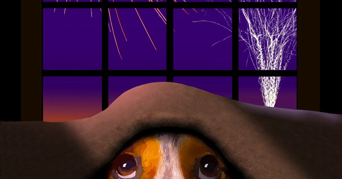 Fourth of July Pet Safety | Washington County, OR