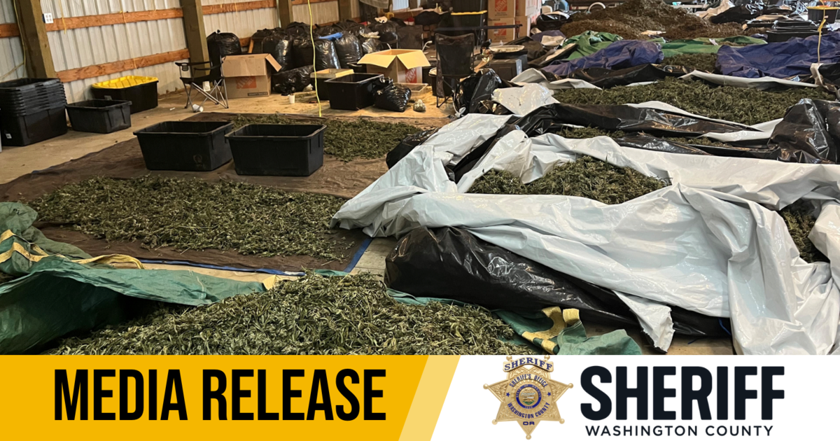Investigation Leads to Marijuana Seizure | Washington County, OR Investigation Leads to Marijuana Seizure | Washington County, OR