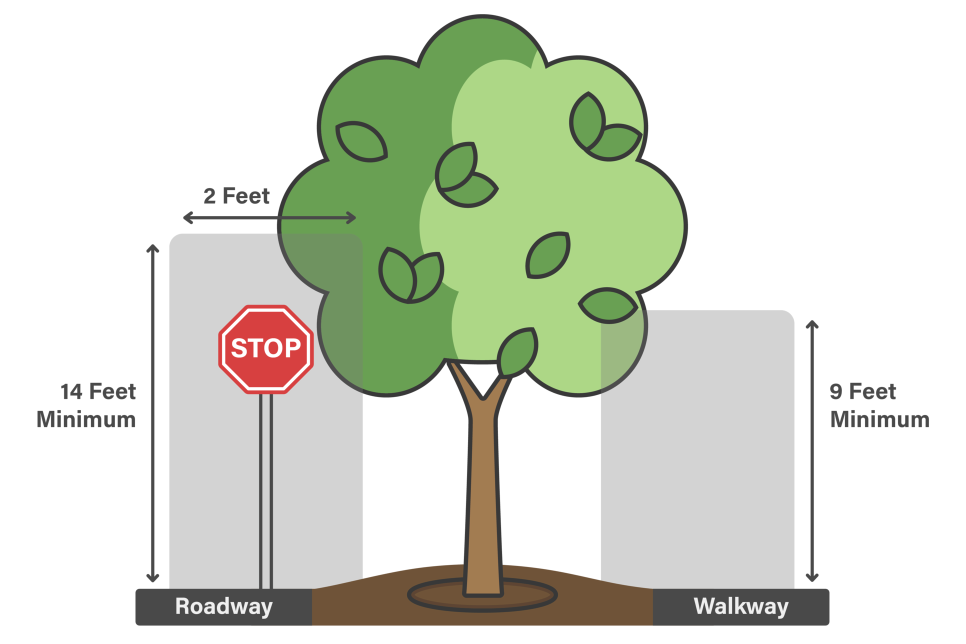 Roadside Vegetation | Washington County, OR