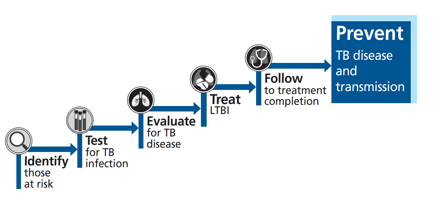 For Providers: Think, Test and Treat Latent Tuberculosis Infection ...